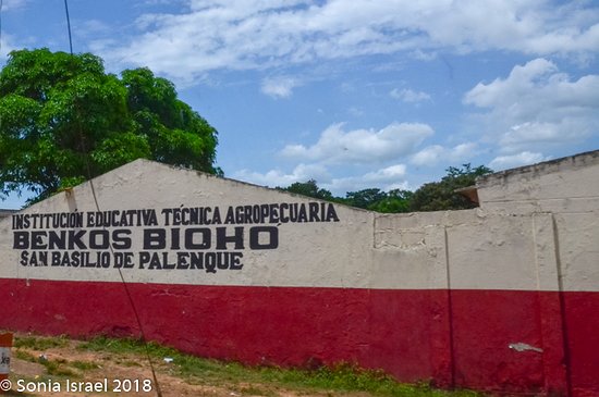 BENKOS BIOHO’S LIFE MATTERED! AND HERE’S THE PROOF! – The African ...